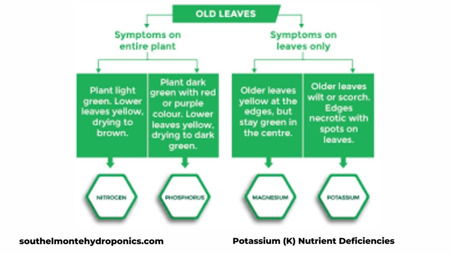 the best Solutions for Potassium Nutrient Deficiencies: Causes ...