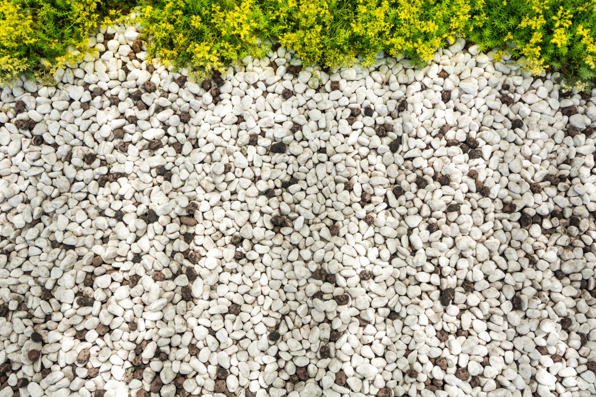 Rockwool for Plants: What It Is, How It Works, and How to Use It for ...