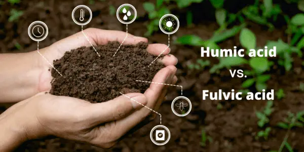 Humic Acid vs Fulvic Acid: What They Are, How They Work, and How to Use ...