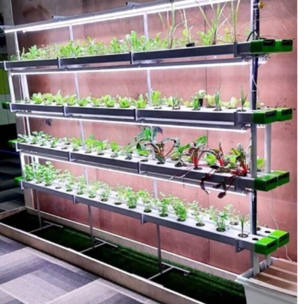 Indoor Hydroponics: The Best Plants to Grow in Water - South Elmonte ...