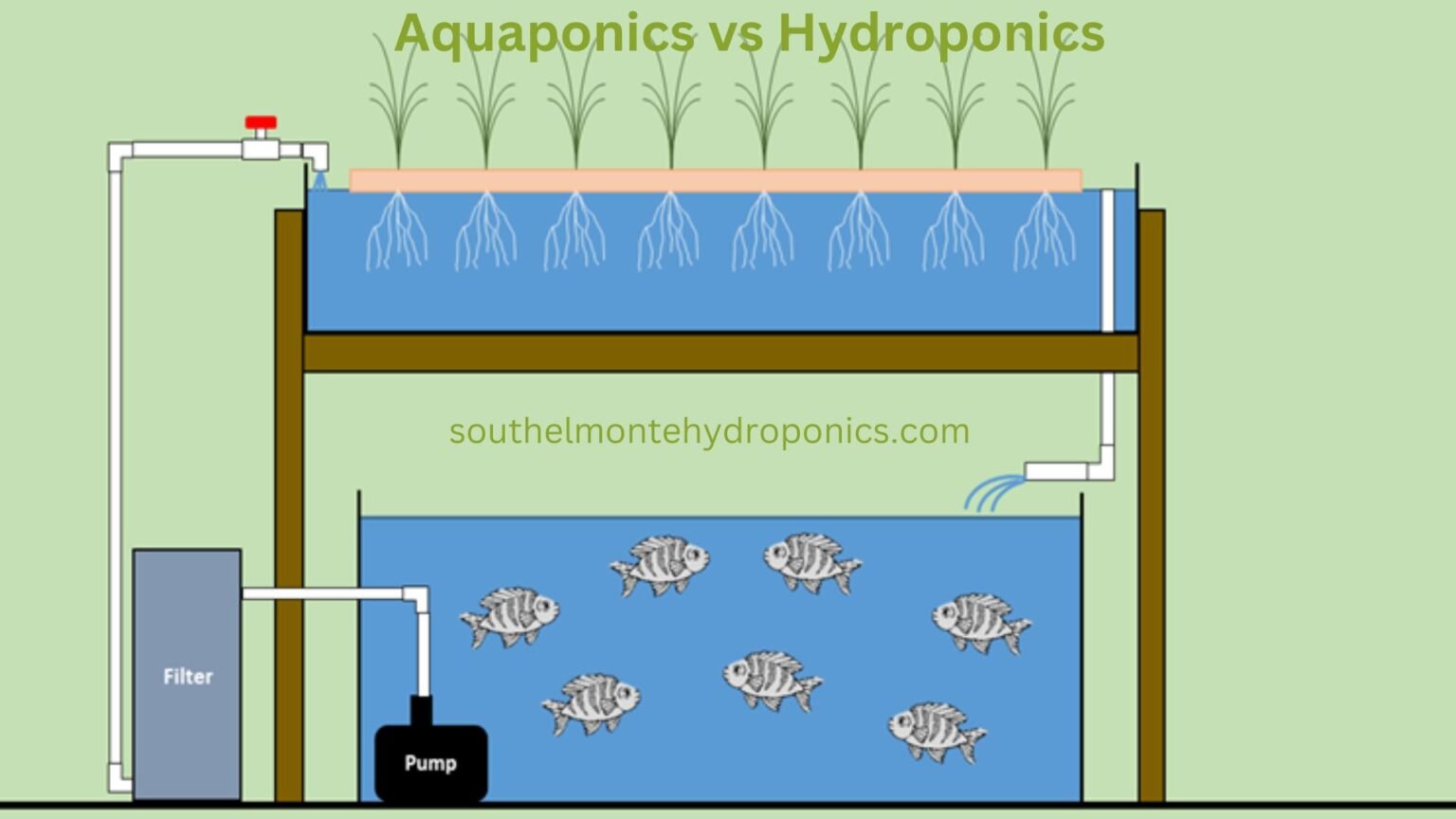 The Pros and Cons of Aquaponics and Hydroponics: No. 1 Comprehensive ...