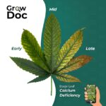 Identifying and Treating Nutrient Deficiencies in Hydroponic ...