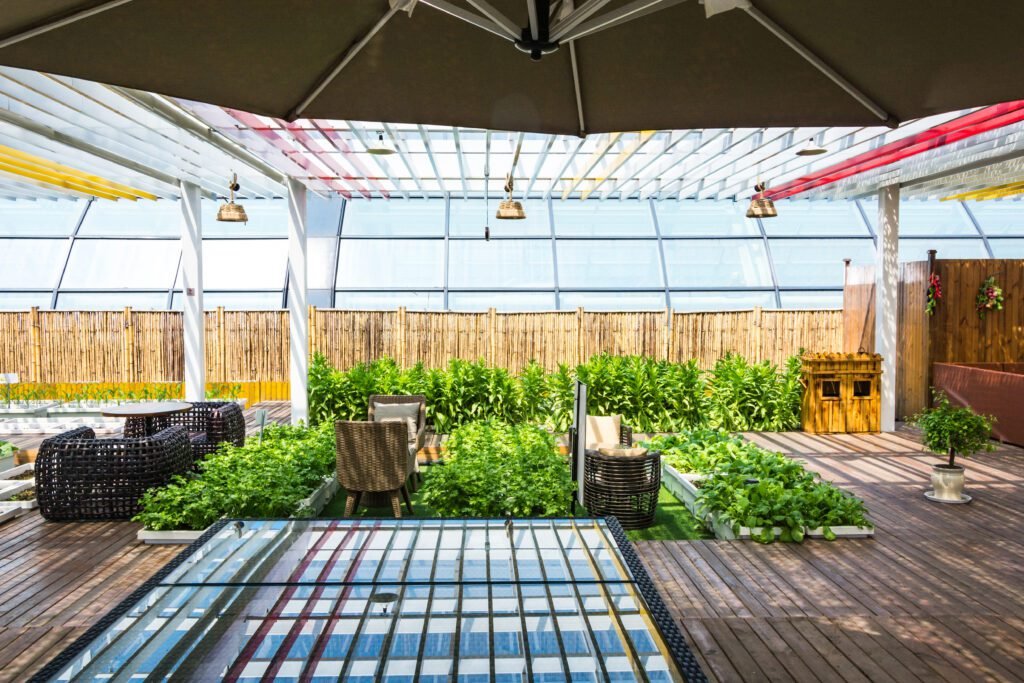 Marigold Varieties: 30 Types to Vibrant Your Garden - South Elmonte ...