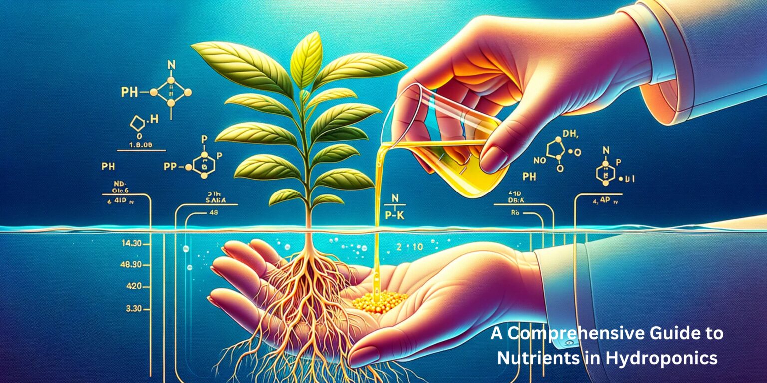 Understanding NPK: A Comprehensive Guide to Nutrients in Hydroponics ...