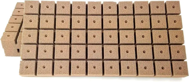 The Pros and Cons of Using Oasis Cube in Hydroponics: A Detailed Review ...