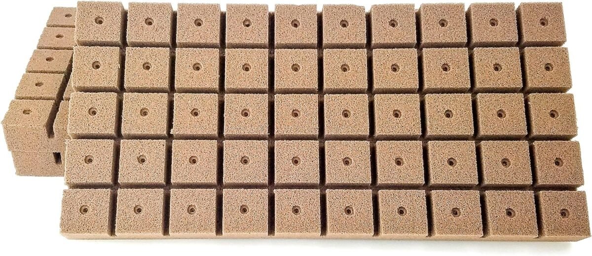 The Pros and Cons of Using Oasis Cube in Hydroponics: A Detailed Review ...