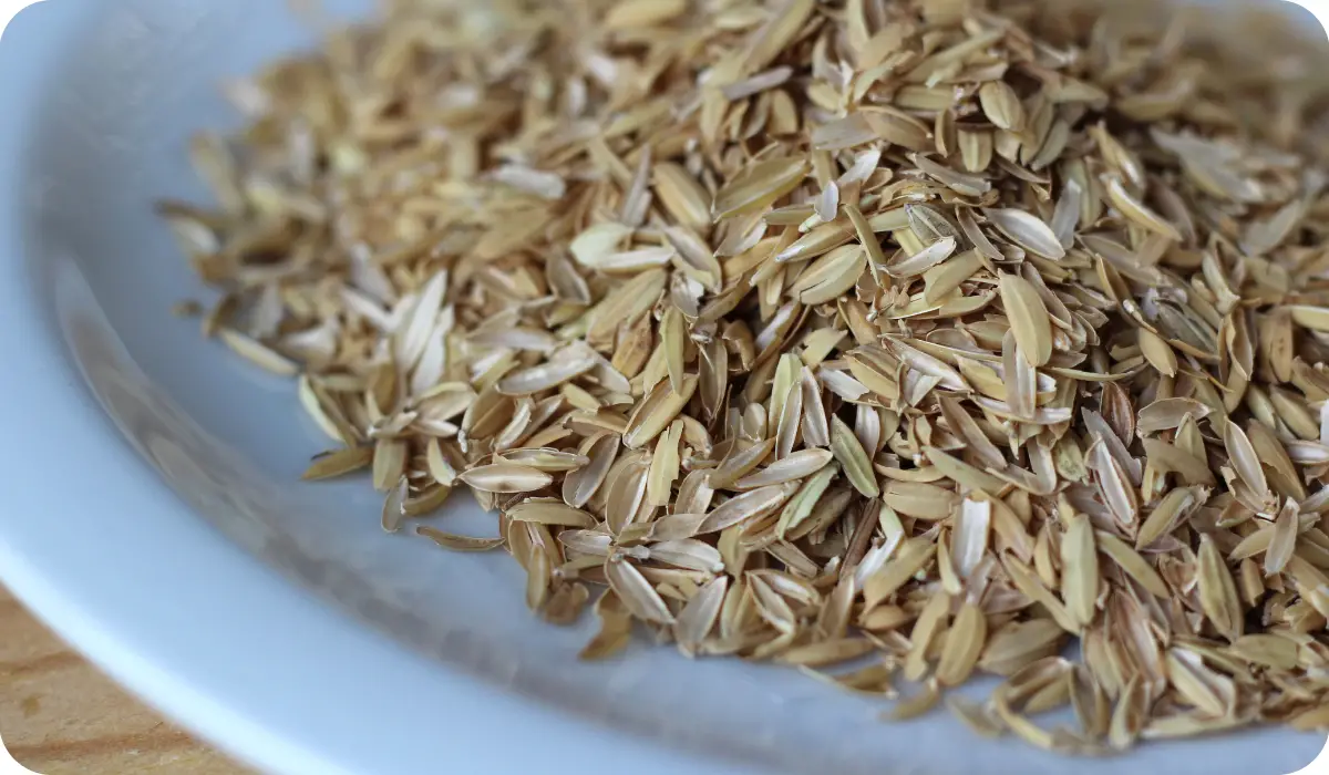 Rice Hulls: Are They Bad or Best for the Environment and Your Plants ...