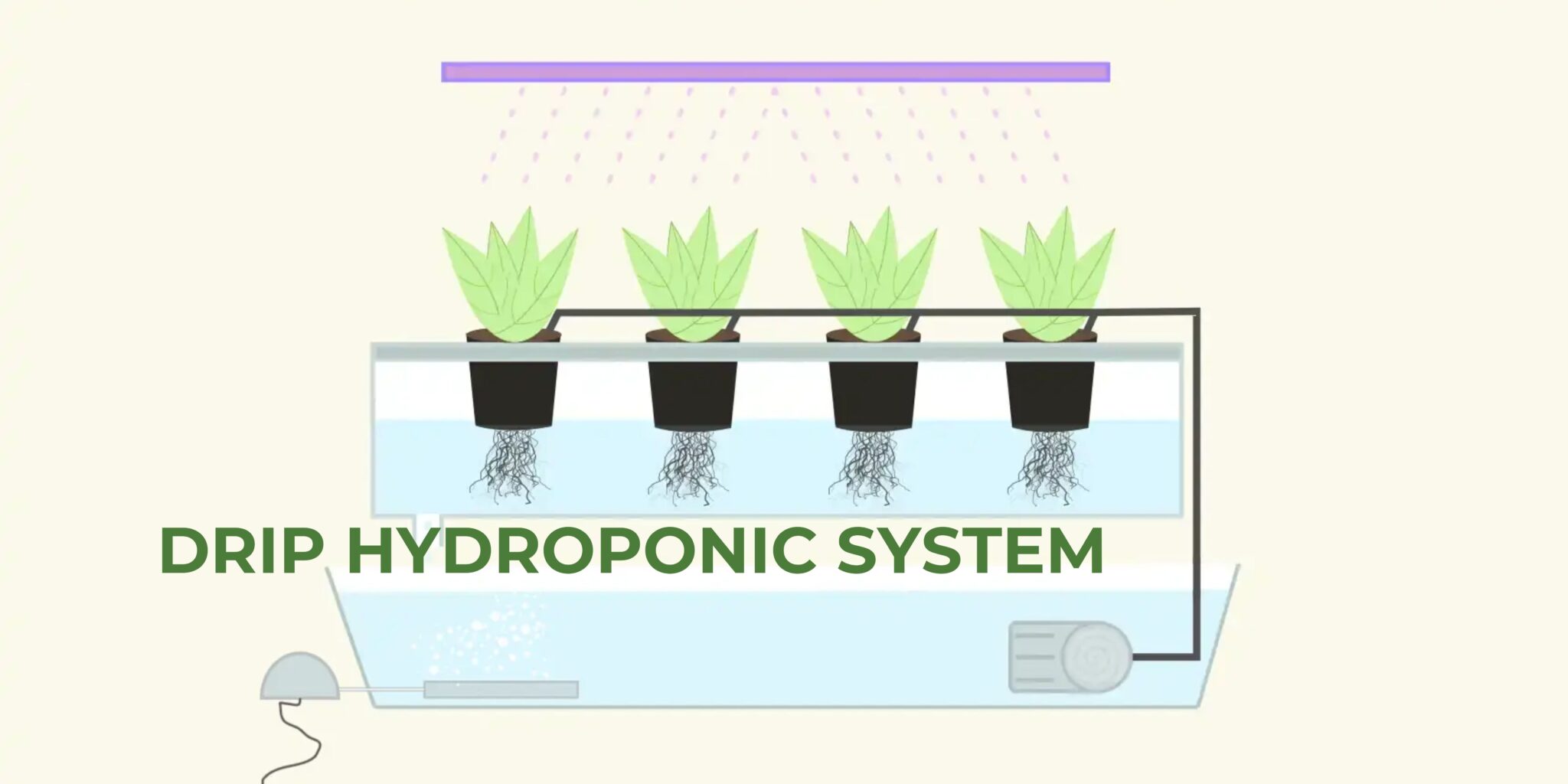 The best Pros and Cons of Drip Hydroponic System: Is It Worth It? - South Elmonte Hydroponics