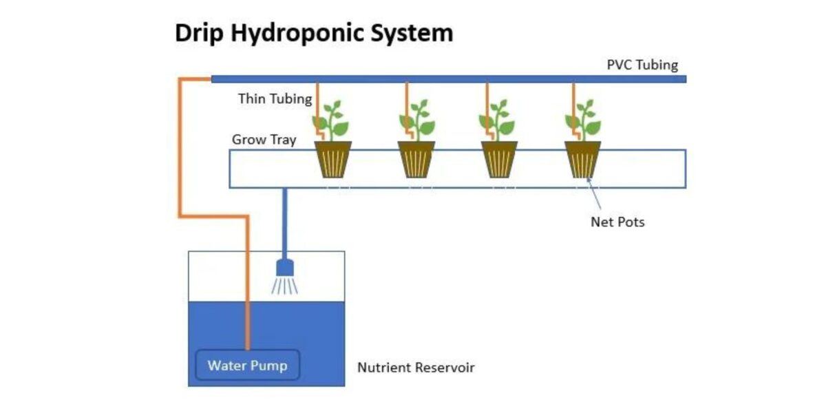 The best Pros and Cons of Drip Hydroponic System: Is It Worth It ...