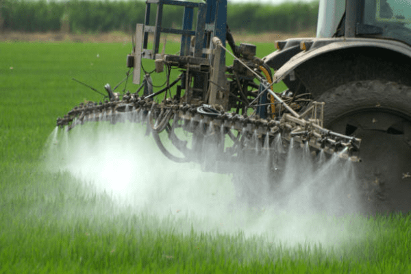 Foliar Spray: What It Is, How It Works, and How to Use It for Your ...