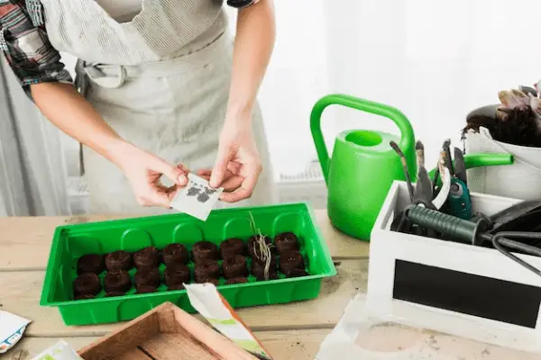 The 5 Essential Indoor Hydroponic Tools You Need to Start Your Garden ...