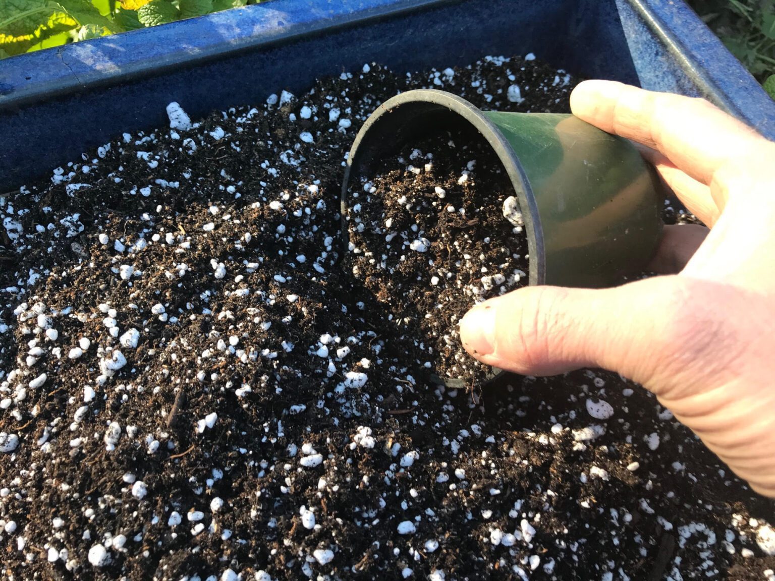 Perlite: What It Is and How to Use It Correctly - South Elmonte Hydroponics