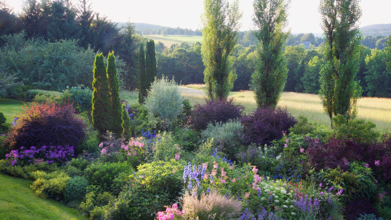 Columnar Trees: 12 Varieties You Need to Grow - South Elmonte Hydroponics