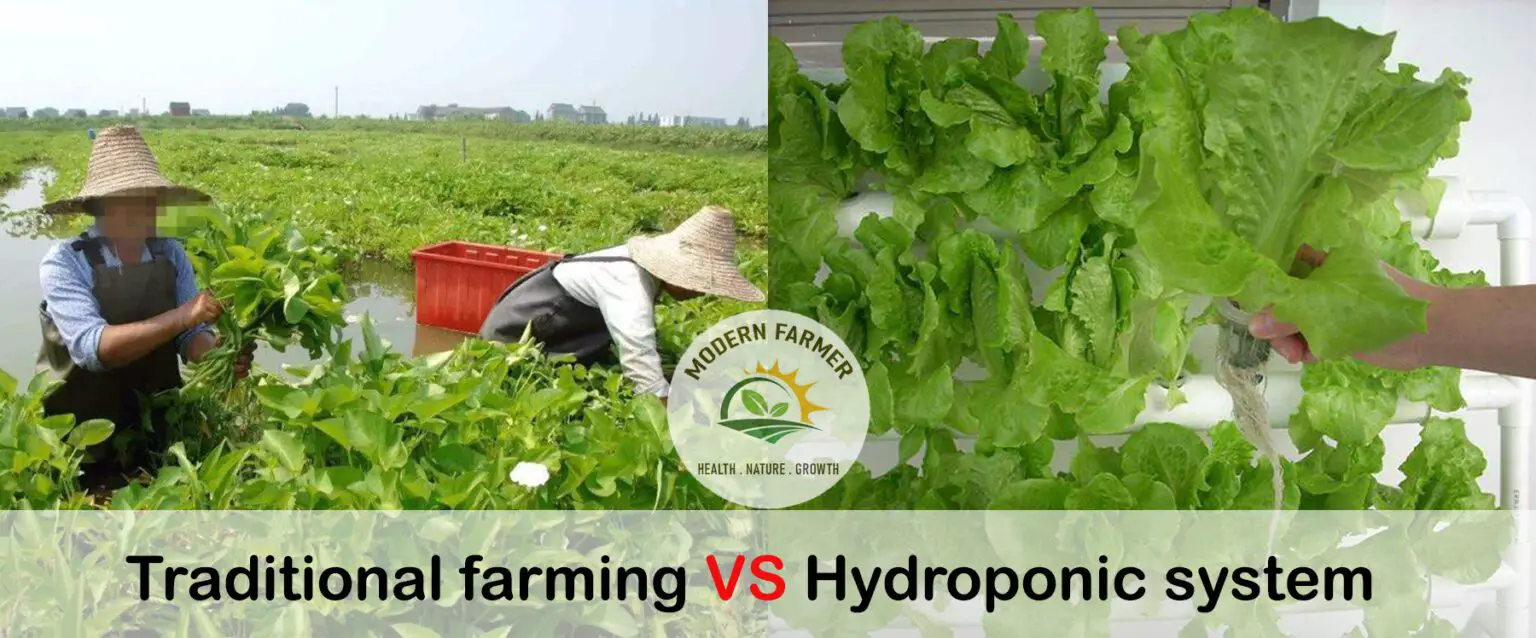 for Hydroponic and Traditional Growing Methods, Optimal Plant ...