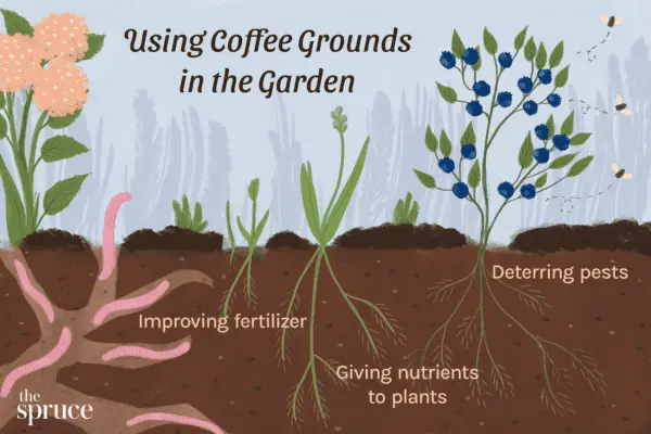 Coffee Grounds Composting: A Complete Guide to This Free and Easy ...