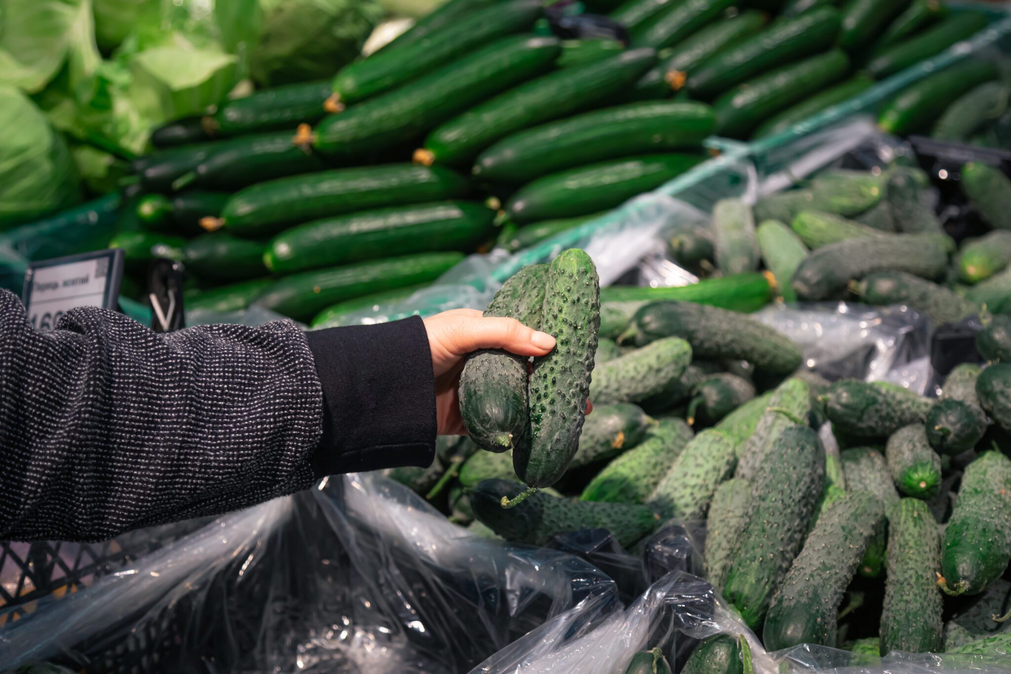 Hydroponic Cucumbers: The Ultimate Growing Guide - South Elmonte ...
