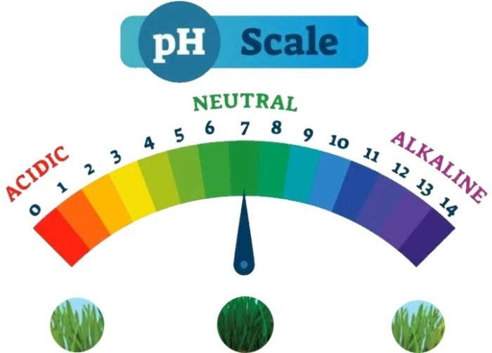 Maintaining Optimal pH Levels Across Various Hydroponic Media - South ...