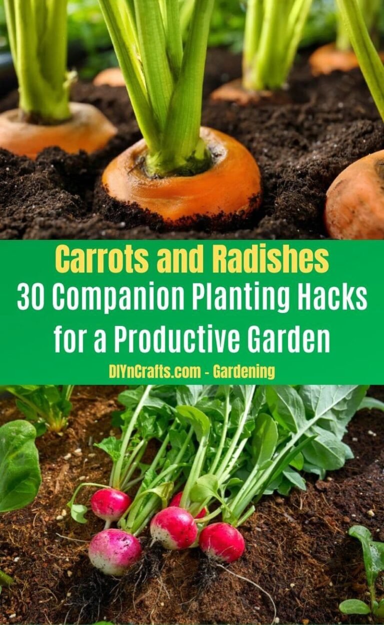 Carrot Companion Plants and Plants to Avoid - South Elmonte Hydroponics