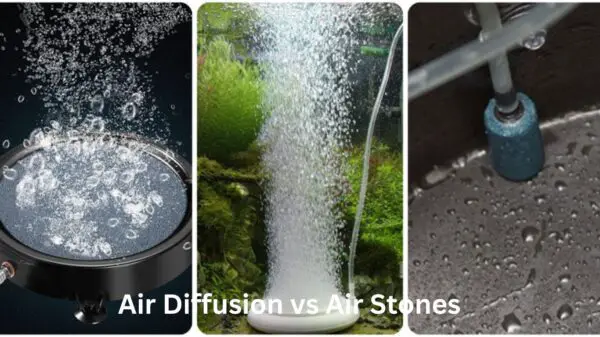 Air Diffusion vs Air Stones for Hydroponics: Which One is Better for ...