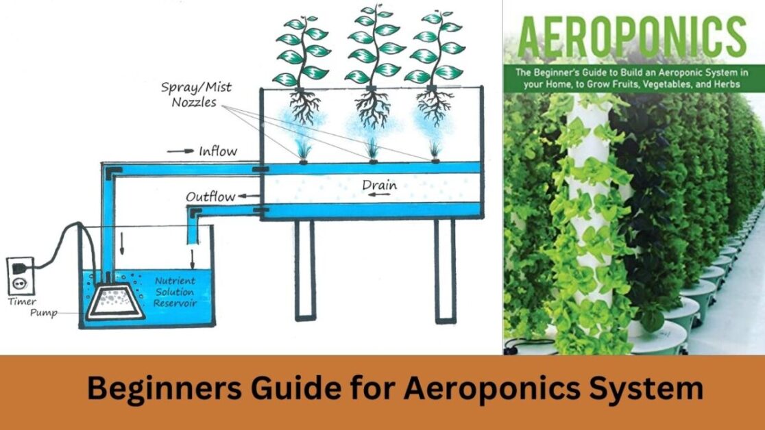 best Beginners Guide for Aeroponics System - South Elmonte Hydroponics