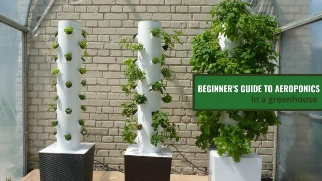 best Beginners Guide for Aeroponics System - South Elmonte Hydroponics