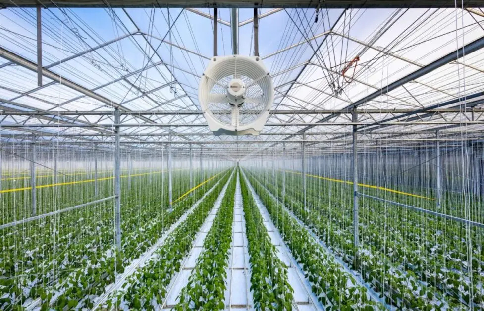 The Best Inline Fans for Grow Rooms: A Comparison of 6 Models - South ...