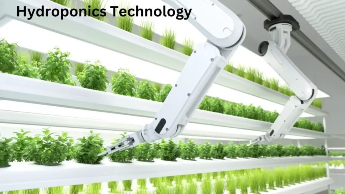 The Best How AI is Revolutionizing Hydroponics Technology - South ...