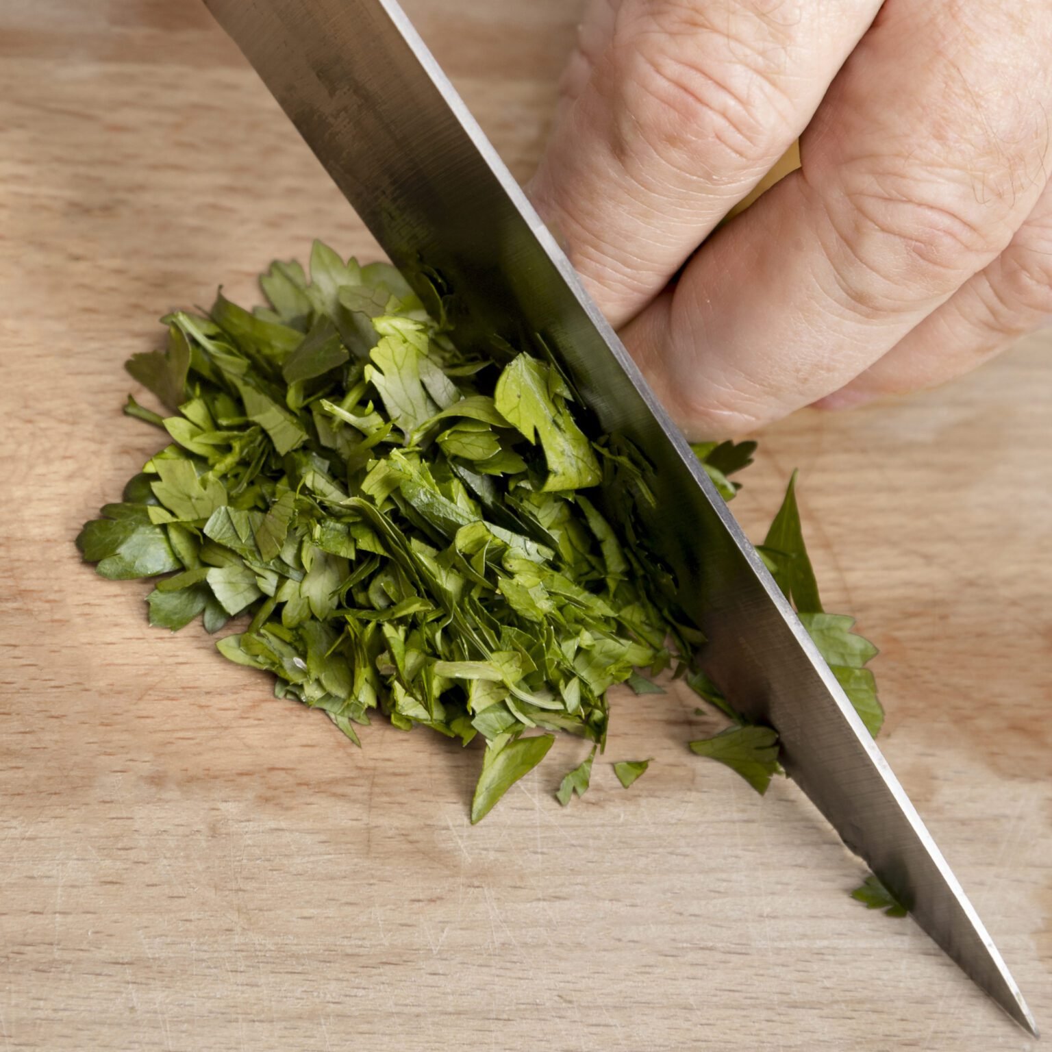 A Guide to Growing Hydroponic Oregano and Propagating Cuttings in 5 ...