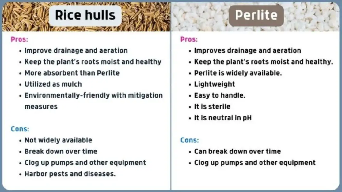 Rice Hulls vs Perlite: Which 1 is the Better Choice for Hydroponics ...