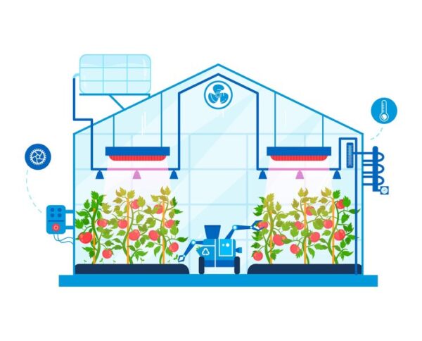 NFT (Nutrient Film Technique) in Hydroponics Explained - South Elmonte ...