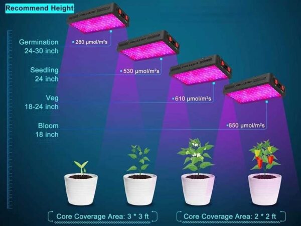 Grow Light Coverage Calculator: How to Calculate and Maximize Your Grow ...