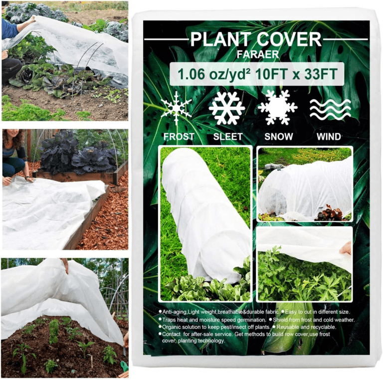 How to Shield Plants from Frost: Tips and Tricks to Keep Your Plants ...